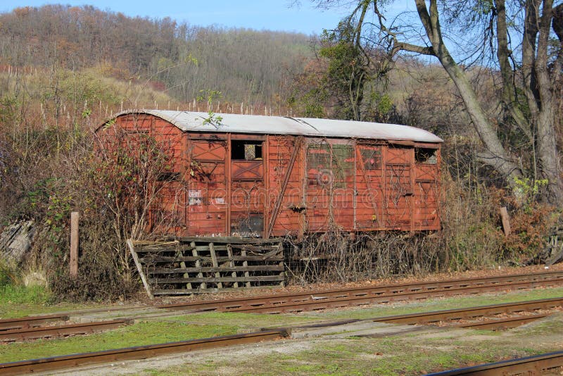 Forgotten Freight Elevator Left Abandoned in Factory Stock Image ...