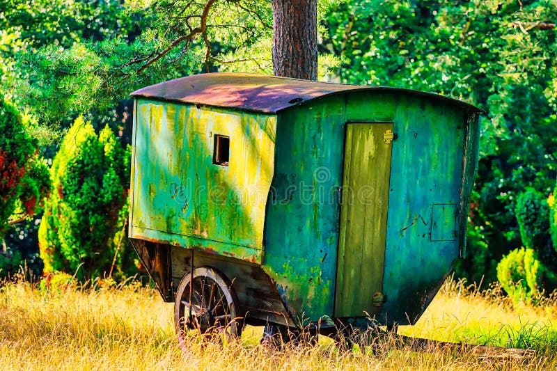 Forgotten stock image. Image of forgotten, gras, forest - 275088233