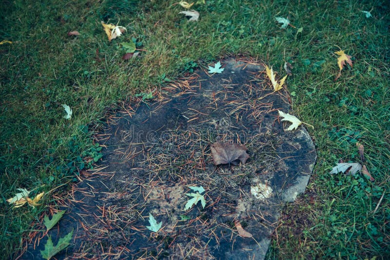 The Forgotten Ones. Dead Long Time Ago. Stock Photo - Image of history ...