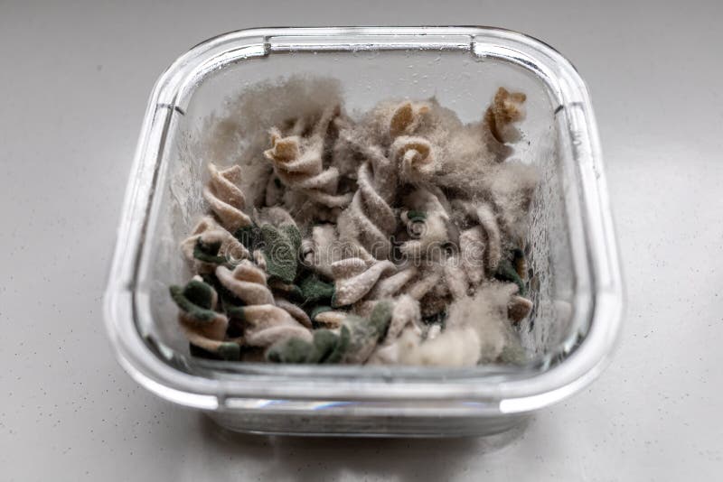 Forgotten Pasta in Glass Container Covered with Mold Stock Photo ...