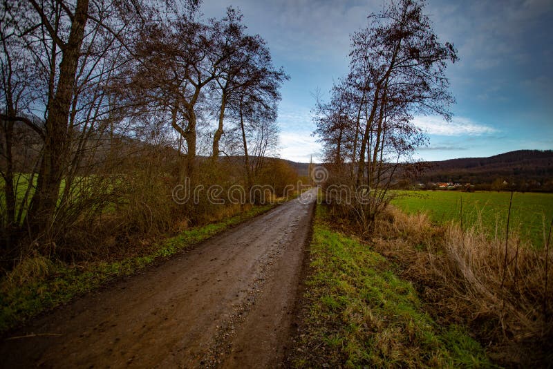 The forgotten path stock image. Image of golden, gold - 237728685