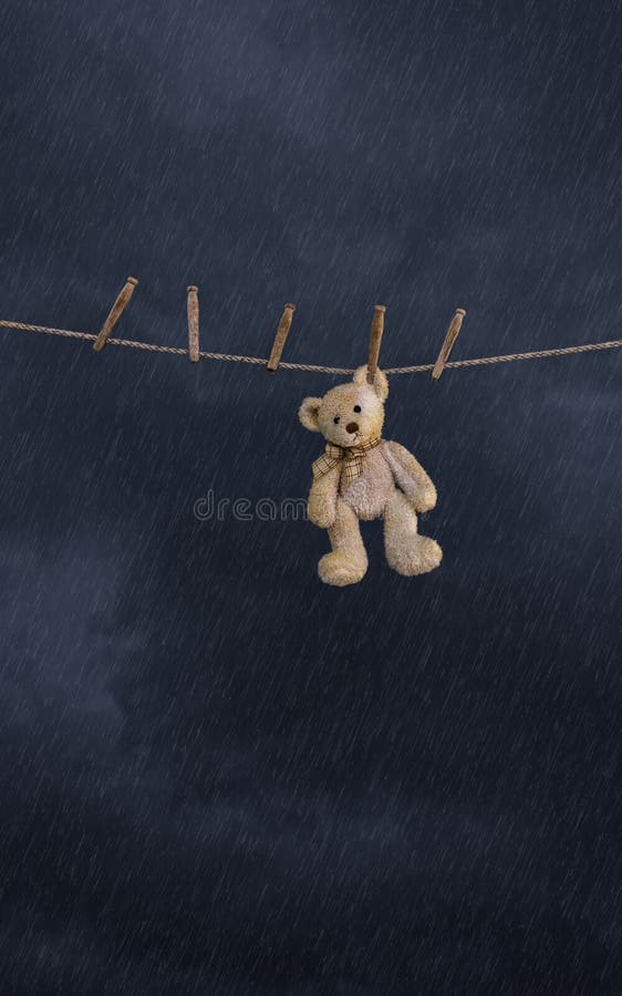 Forgotten stock photo. Image of stuffed, bear, forgotten - 43192702