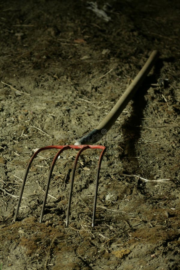 Fork Picture. Image: 5739669