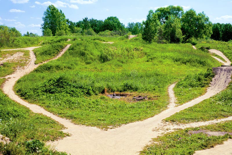 Divergence Of Paths: A Wide Asphalt Road In The Park Is Divided Into ...