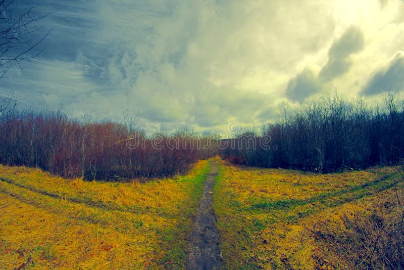 Diverging Paths stock image. Image of junction, pavement - 34283065