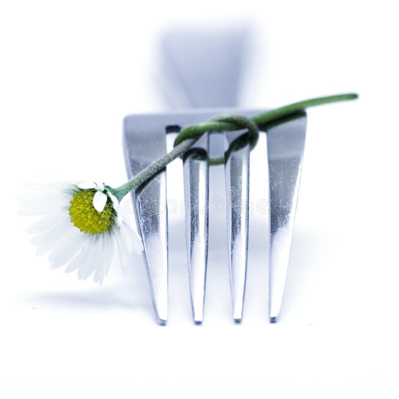 Menu with spoon and fork stock image. Image of dinner - 11590915