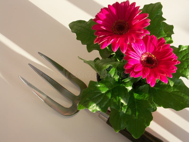 Fork and flowering plant stock photo. Image of trowel - 49694894