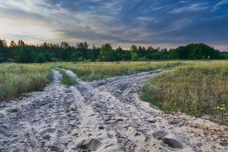 Fork in the forest stock image. Image of lost, autumn - 121303825