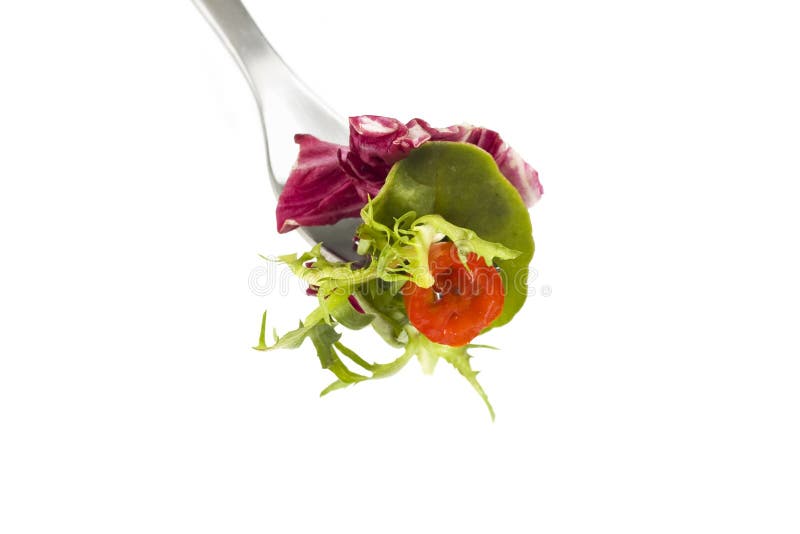 Chef Tossing a Salad, Studio Shot Stock Photo - Image of adult, bowl ...