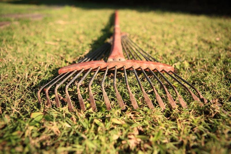 The fork in the garden stock image. Image of park, hayfork - 13730837