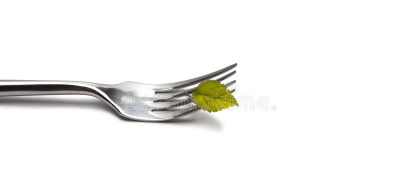 Fork and Green Leaf on White Empty Horizontal Background. Vegan Concept ...