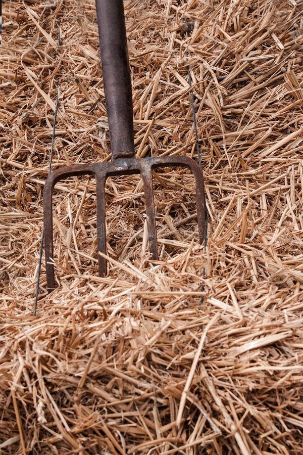 Fork and hay stock photo. Image of brown, composting - 26297298