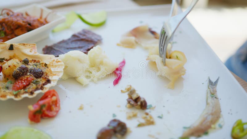Fork and Knife Cutting Different Fish Inside the Gourmet Appetizer Dish ...