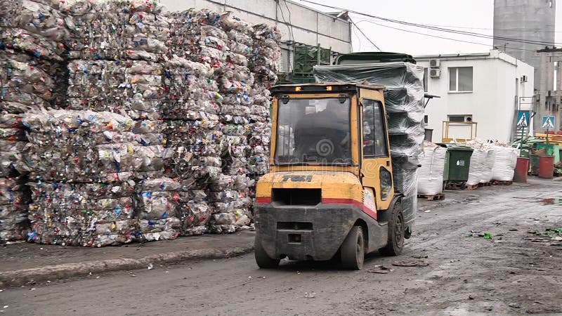 Fork Lift Tractor Unloading Massive Logs at a Lumber Yard at Sunset ...