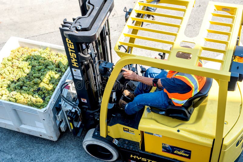Fork lifter, winery editorial image. Image of grapes - 79930165