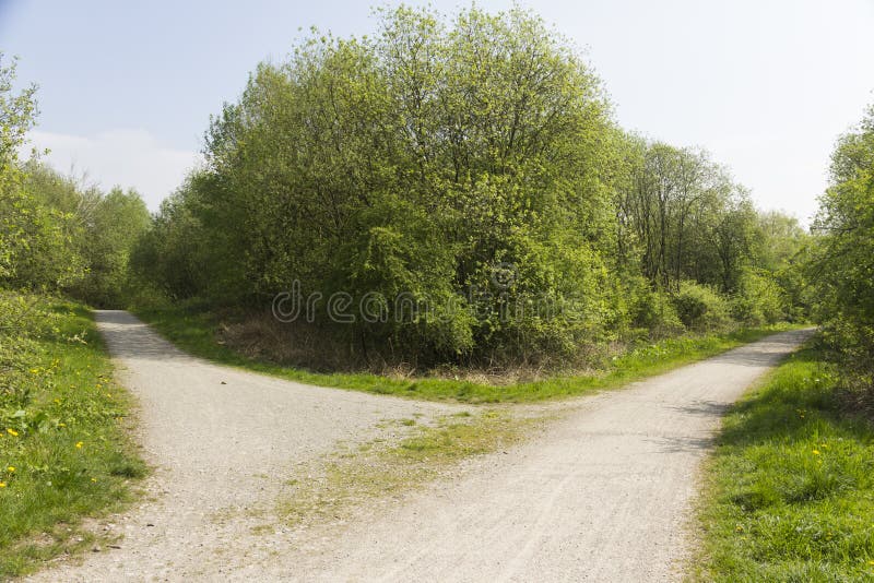 Fork in the path stock photo. Image of daytime, forked - 61683372