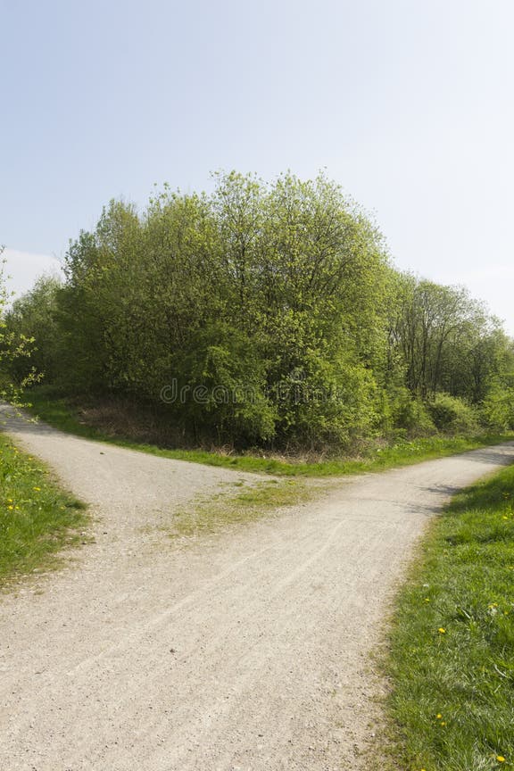 Fork in the path stock photo. Image of footpath, decision - 61683414