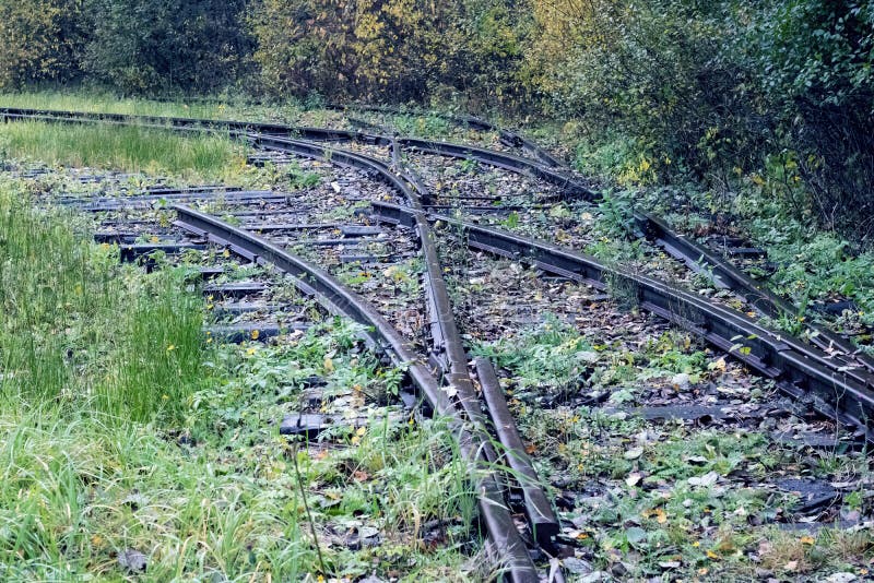 Fork on the Railway in the Forest Stock Image - Image of rural, safety ...