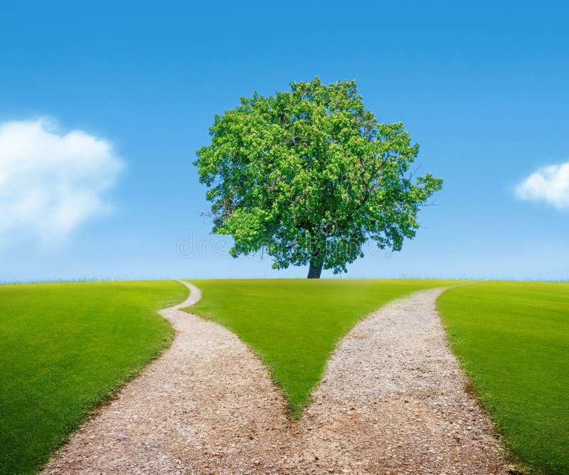 Fork in the Road Choice Concept Stock Image - Image of choice, concept ...