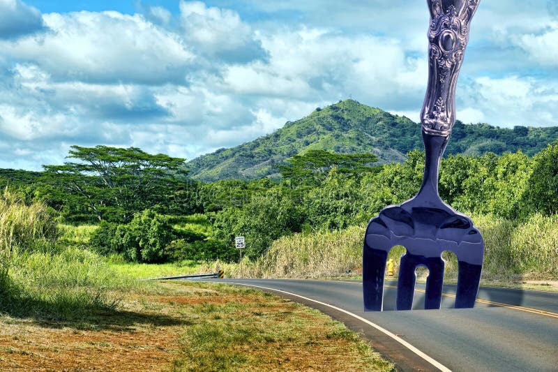 Fork in the Road. stock photo. Image of fork, highway - 88946754