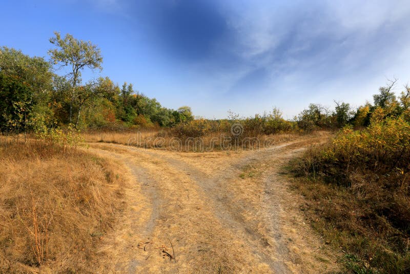 Fork dirt roads in steppe stock photo. Image of journey - 190031234
