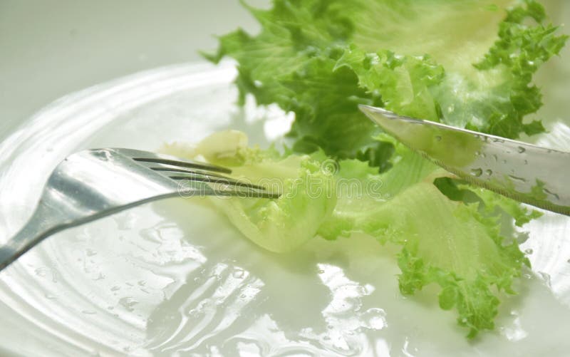 Fork Stabbing and Knife Slice To Fresh Lettuce with Drop of Water on ...