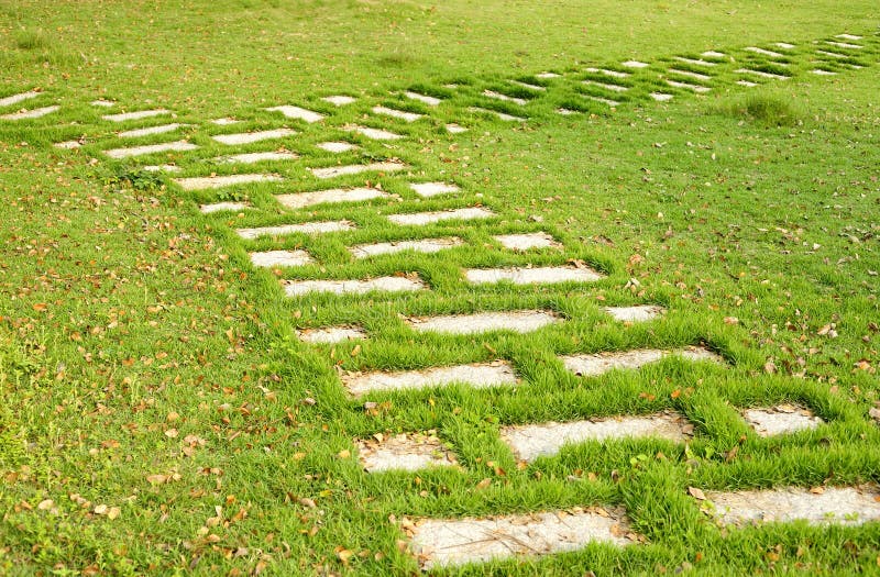 Garden path stock photo. Image of natural, perennial, outdoor - 9218204