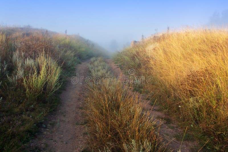 Forked Path Leading through the Field Stock Image - Image of grass ...