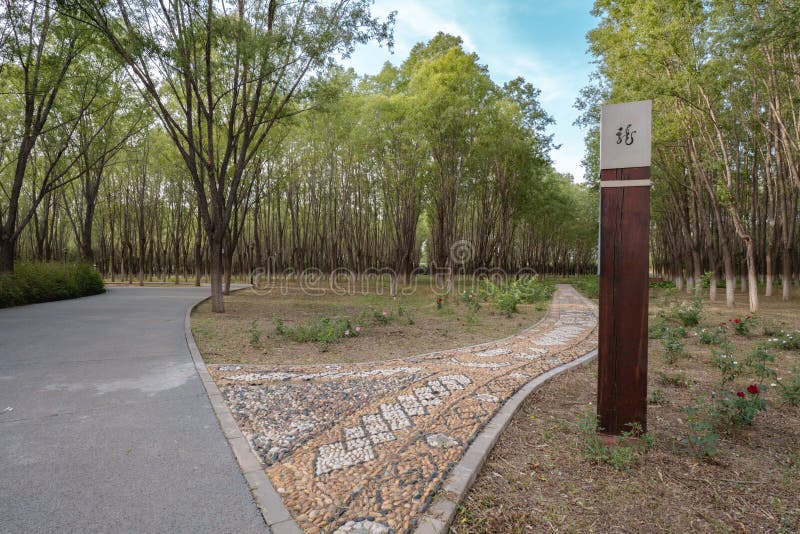A Forked Path in a Park in the Suburbs of Beijing Editorial Stock Image ...
