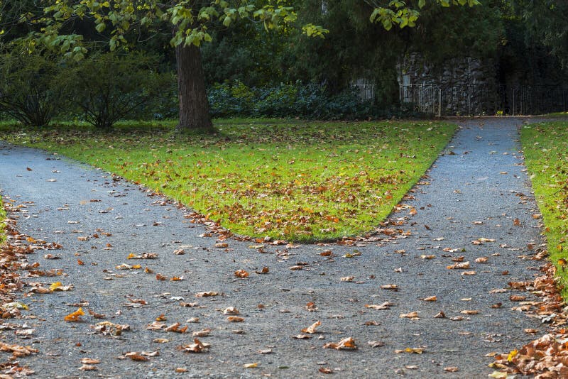 Forked Path in the Park among the Trees Stock Photo - Image of nature ...