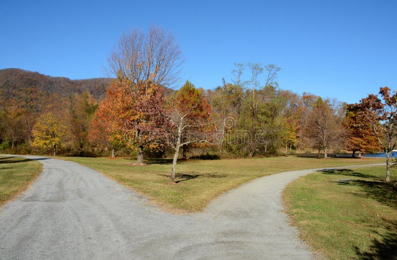 Forked Road, Beautiful Fall Trees. Stock Photo - Image of park, people ...