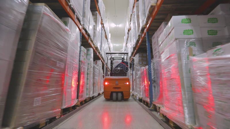 A Forklift is Driving through a Large Warehouse. Moving through a ...