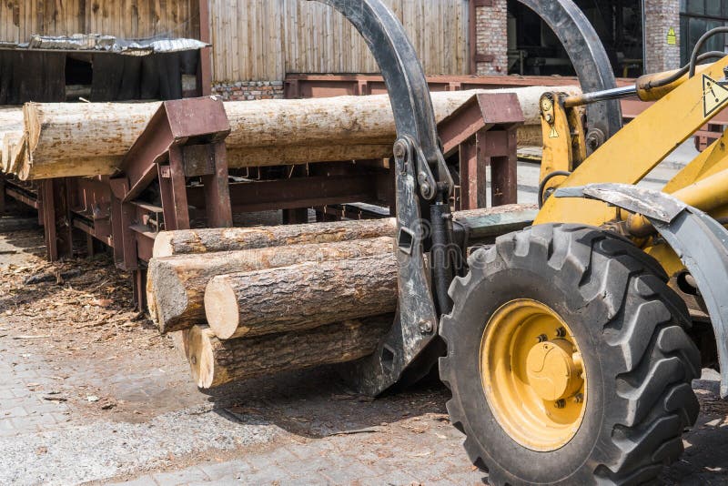 Forklift Truck Grabs Wood in a Wood Processing Plant. Large Log Loader ...