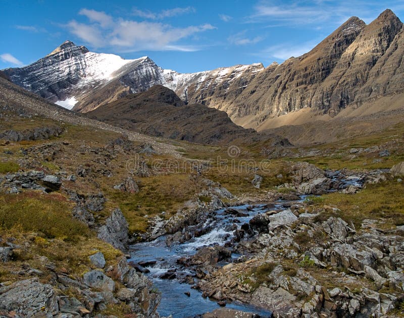 Forlorn Creek in the Rockies Stock Photo - Image of water, clean: 9355422