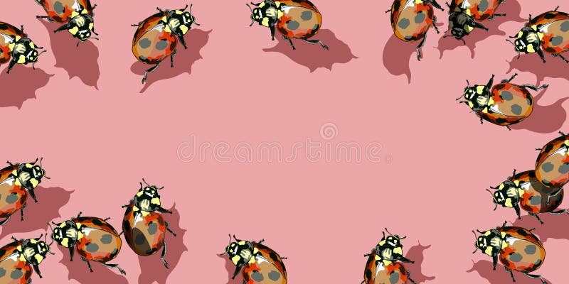 Hand-drawn Ladybugs on an Empty Postcard with a Background. Stock ...