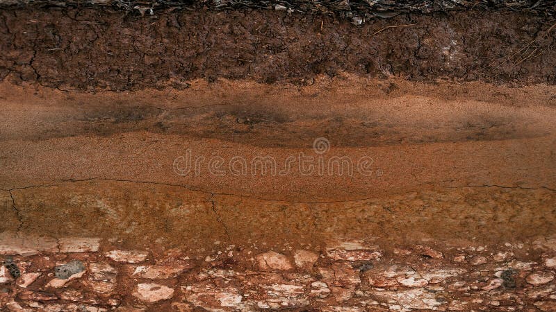 Form of Soil Layers, Its Colour and Textures, Texture Layers of a Earth ...