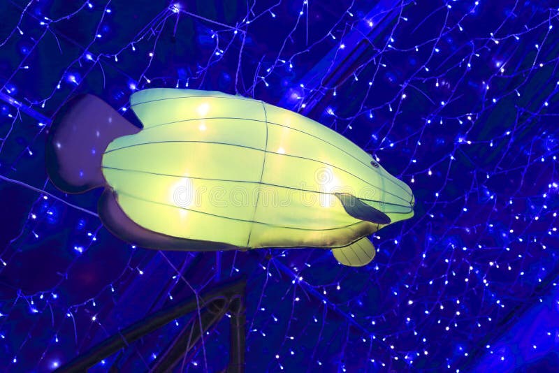 338 Pesce Lanterna Foto - Foto Stock Gratis e Royalty-Free da Dreamstime