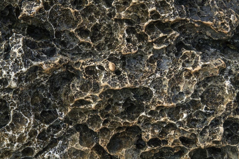 Forma De La Roca En La Playa Imagen de archivo - Imagen de cierre ...