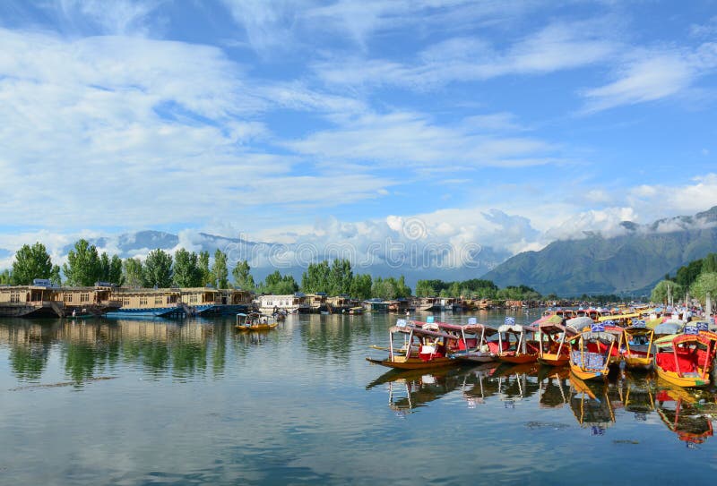 Forma De Vida En El Lago Dal, Srinagar Imagen de archivo editorial ...