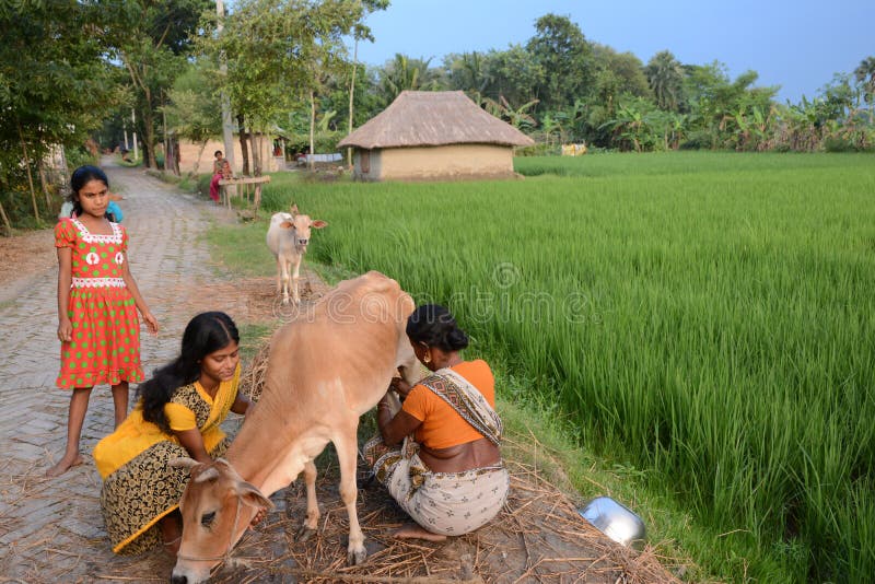 Forma de vida rural imagen editorial. Imagen de camino - 61023910