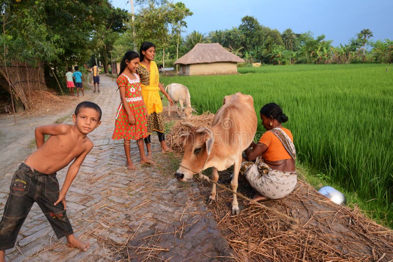 Forma de vida rural foto de archivo editorial. Imagen de adolescente ...