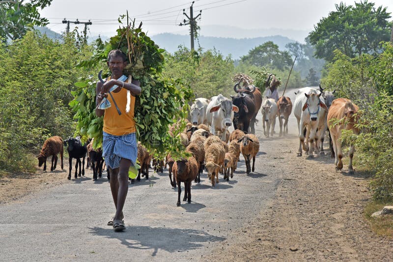 Forma de vida rural foto editorial. Imagen de indios - 80373896