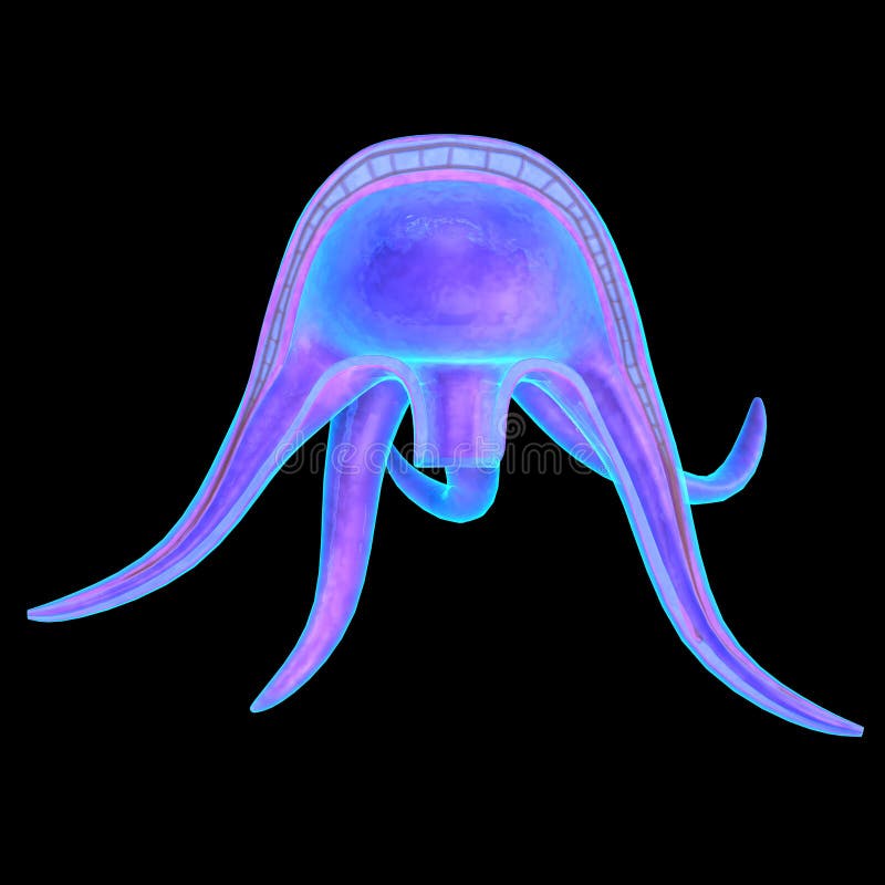 Forma della medusa illustrazione di stock. Illustrazione di forma ...