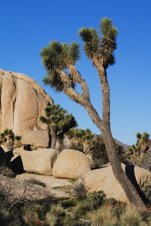Formaciones De Roca Del Granito Imagen de archivo - Imagen de paisajes ...