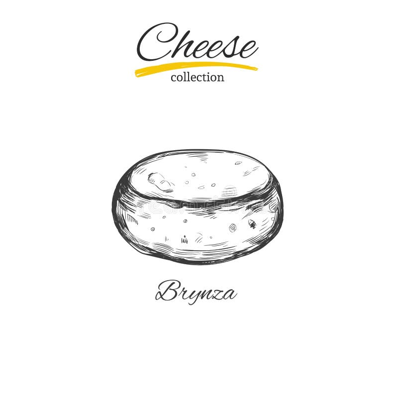 Formaggio Vector Le Insegne Disegnate a Mano, Etichette Con Differenti ...