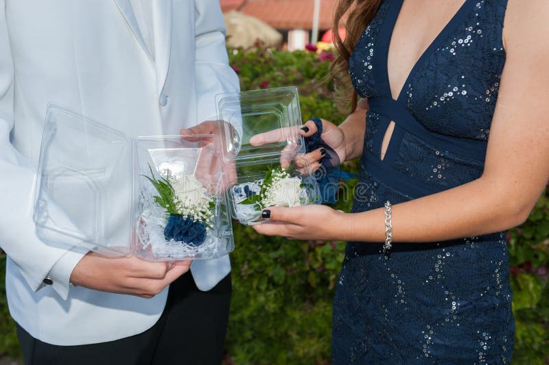 Formal even etiquette stock image. Image of parties, prom - 54275131