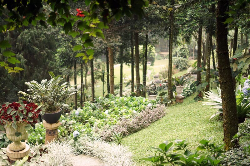 Formal Garden with Tropical Plants Stock Image - Image of colorful ...