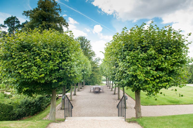 Formal Garden Entrance With Shaped Hedges And Trees Stock Photo - Image ...