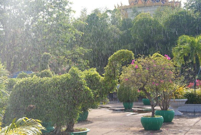Formal Garden stock photo. Image of pollen, flower, branch - 82427616