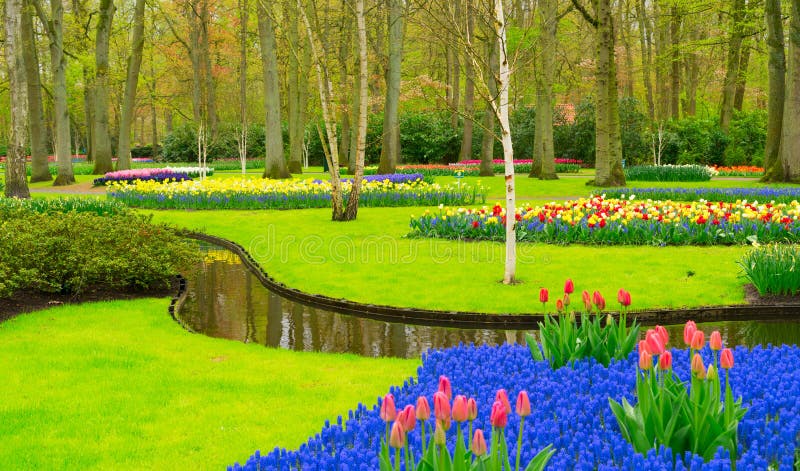 Formal spring garden stock image. Image of blue, floral - 201101765